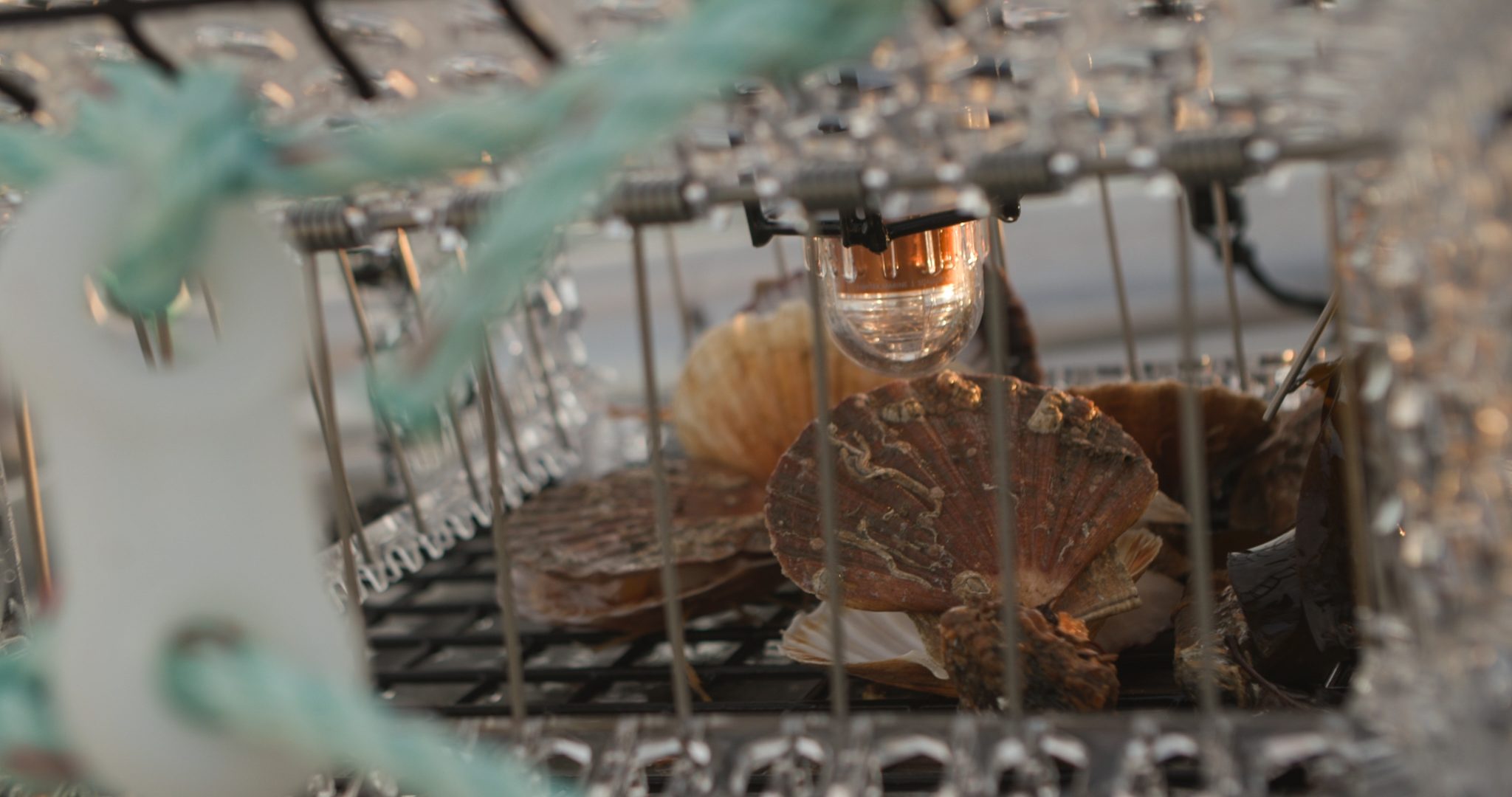 Scallop Potting Technology - Fishtek Marine
